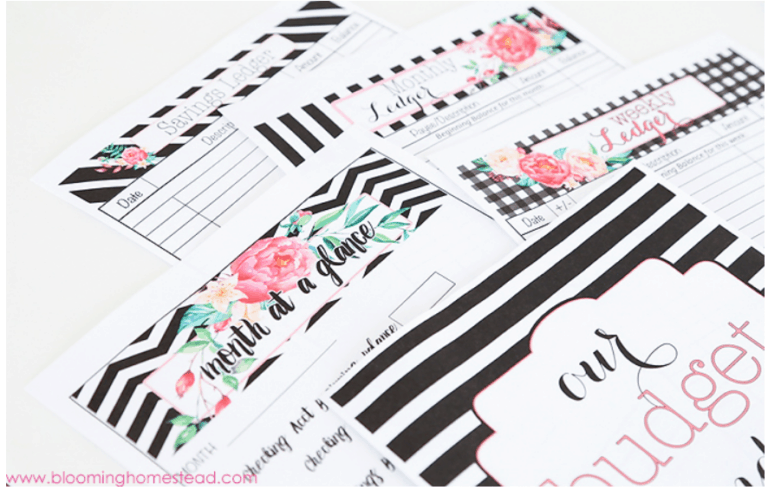 11 Cute Printable Monthly Budget Worksheets (Cute and Free!)