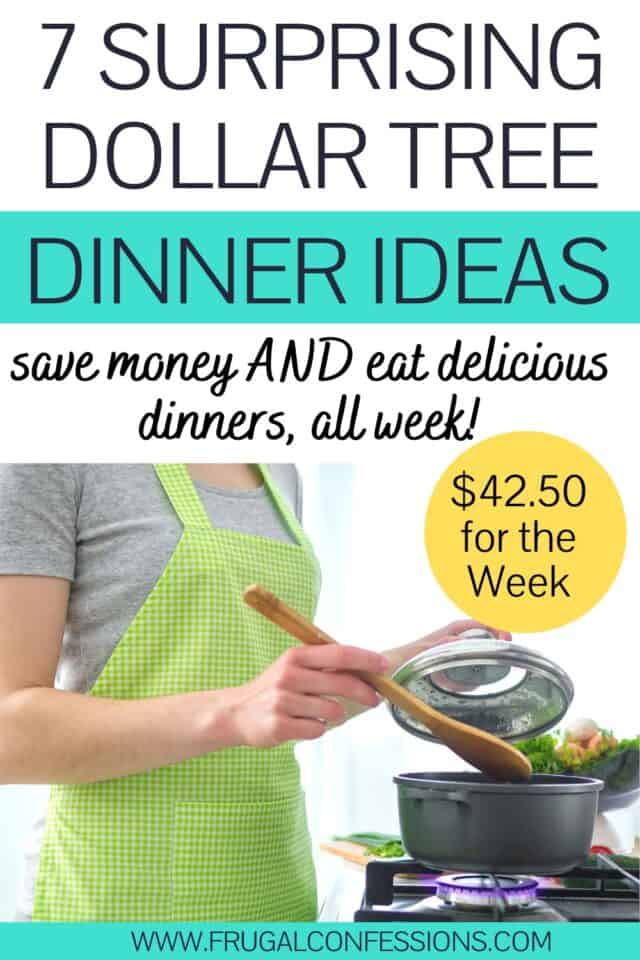 7 Dollar Tree Dinner Ideas ($42.50/Week for 2-3 People)
