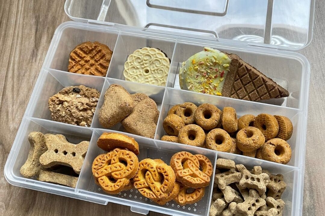 14 Cheap Picnic Ideas for Couples (Simple to Do!)