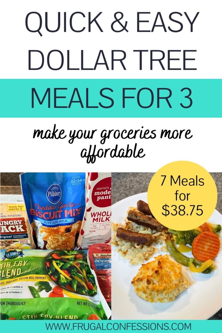 7 Dollar Tree Meals for a Week ($38.75/Serves 3)