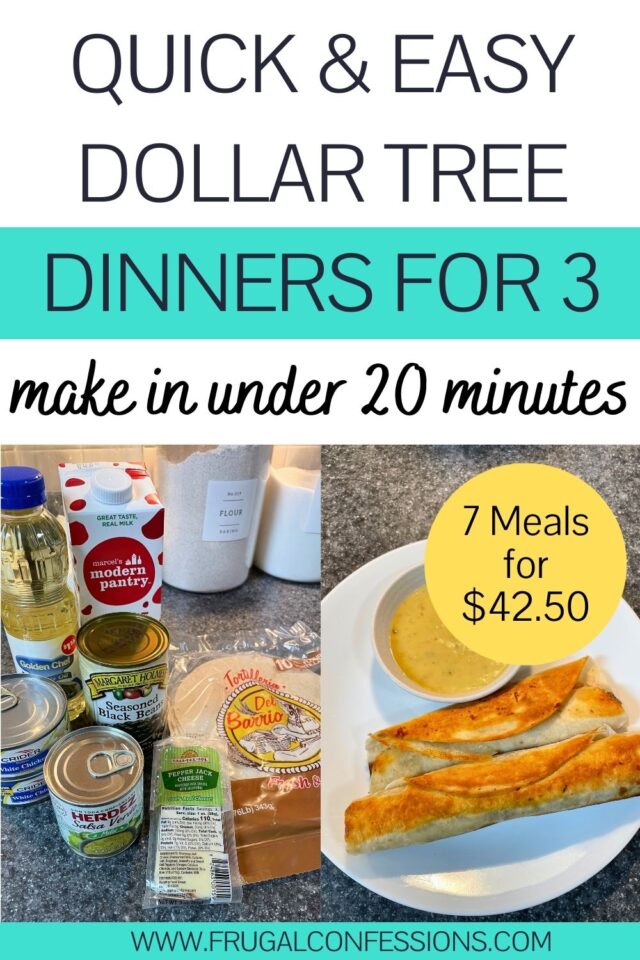7 Quick Dollar Tree Dinners (Meal Plan Serves 3)