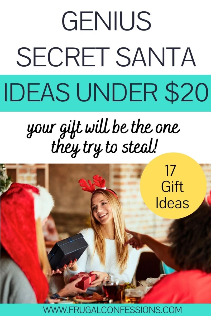 Under $20 Secret Santa Christmas Gifts (17 Genius Ideas)